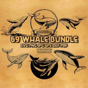 Marine Ocean Whale SVG Bundle, Whale Monogram Svg, Ocean Animal Art ...
