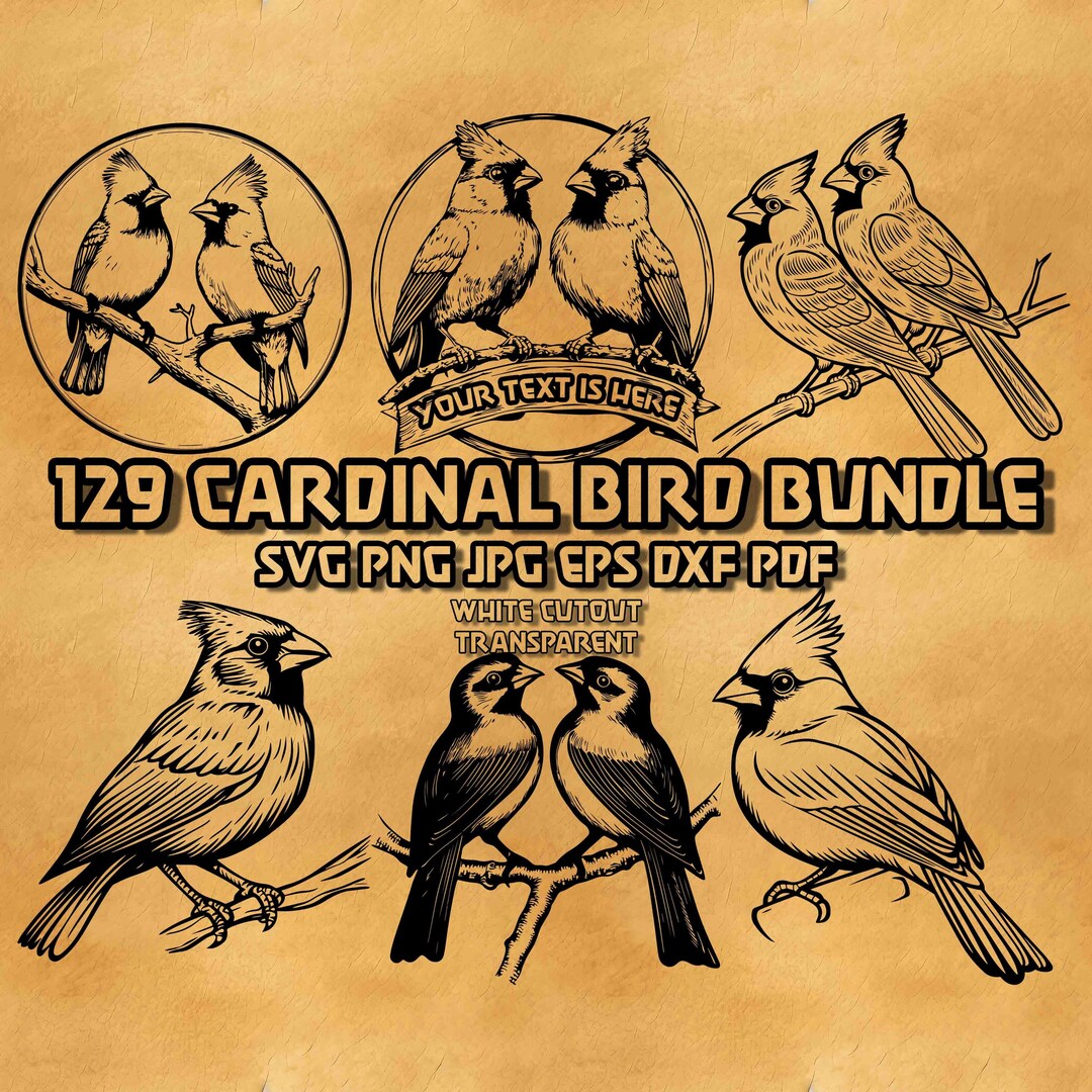 Cardinal Bird SVG Bundle , Mating Couple Cardinal Bird Design, Wildlife ...