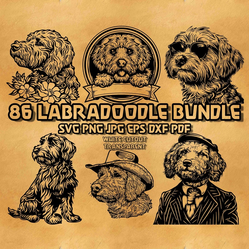 Labradoodle Clipart - Etsy