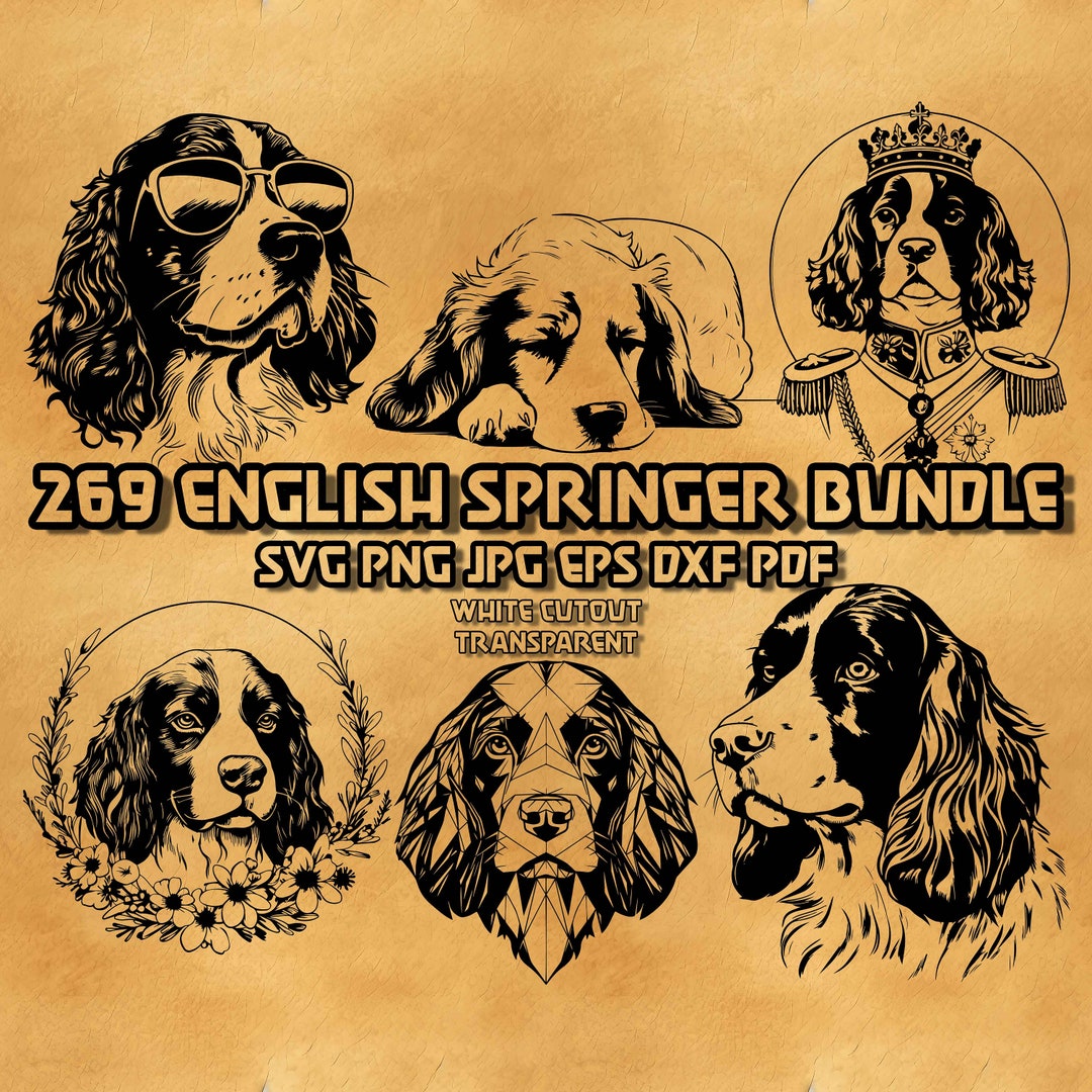 English Springer Spaniel SVG Bundle: Floral, Peeking Dog Head (digital ...