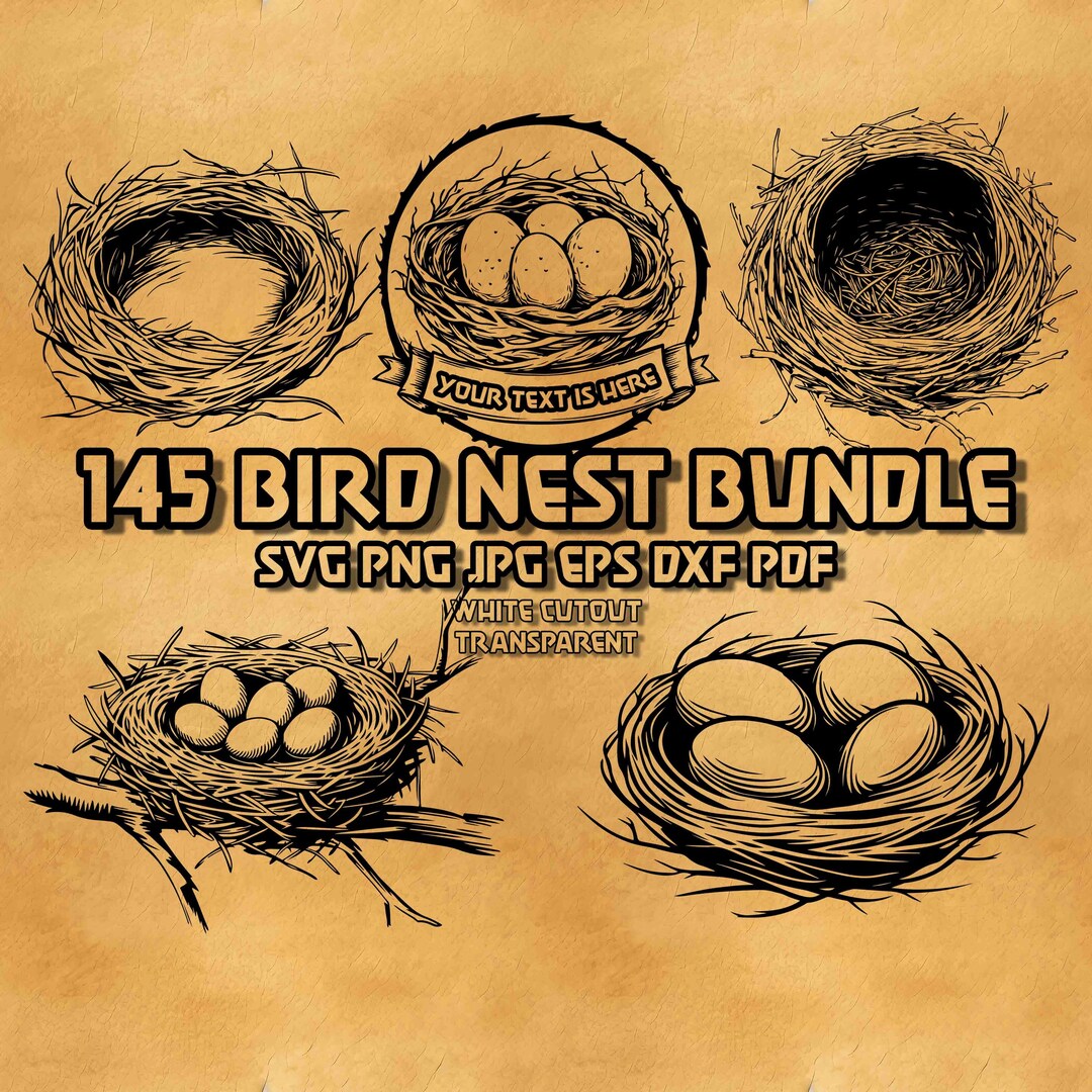 Bird Spring Nest SVG Bundle, Nature-inspired Designs, Garden Cute Bird ...