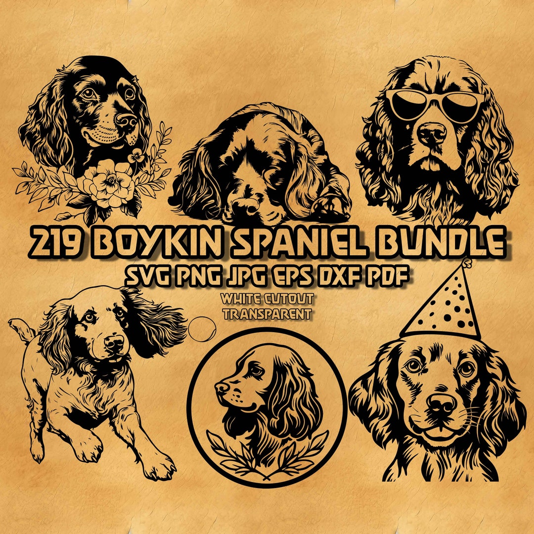 Boykin Spaniel Svg Bundle, Peeking Boykin Spaniel Svg, Cowboy Boykin ...