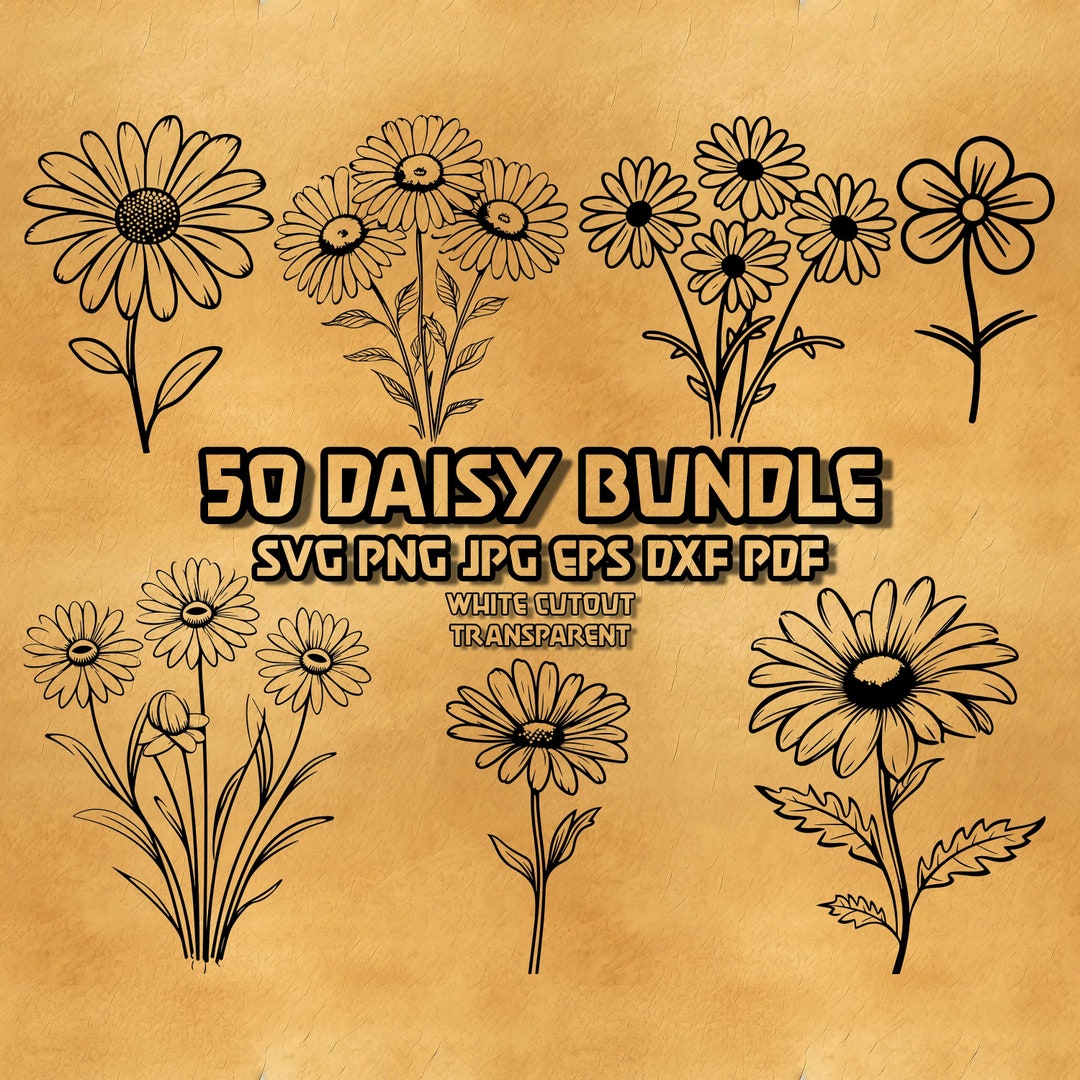 Daisy Bundle Svg, Daisy Png Bundle, Flower Svg, Floral Svg Bundle ...