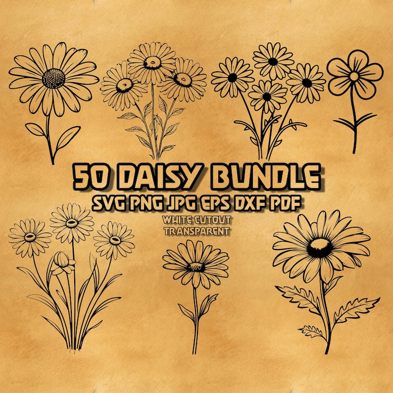Daisy Bundle Svg, Daisy Png Bundle, Flower Svg, Floral Svg Bundle ...