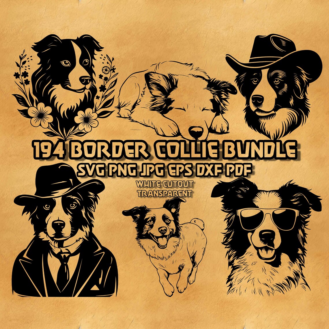 Border Collie Svg Bundle, Floral Border Collie Svg, Cowboy Border ...