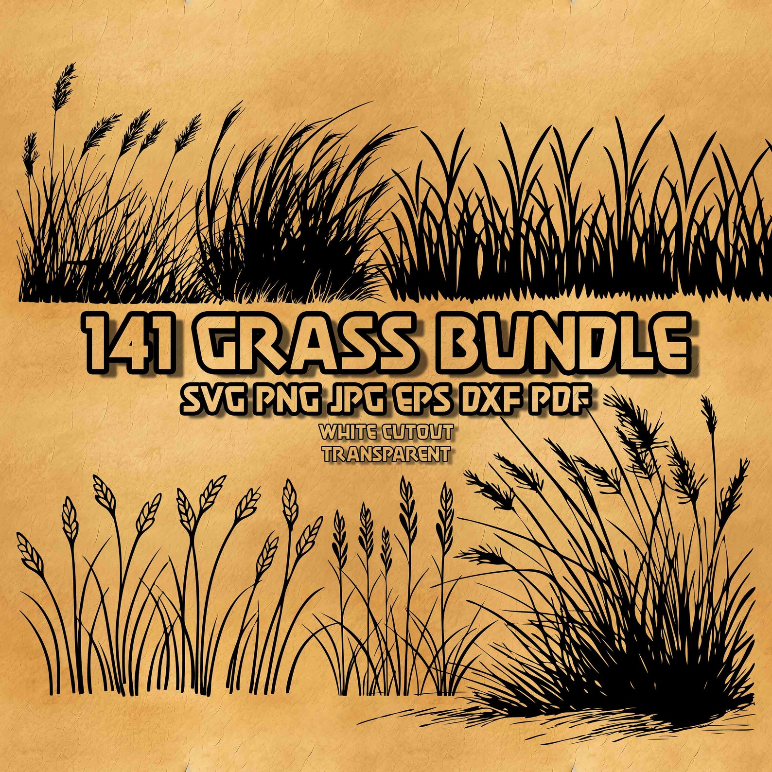 Grass Svg Bundle, Pampass Grass Svg, Grass Silhouette, Botanical Grass ...
