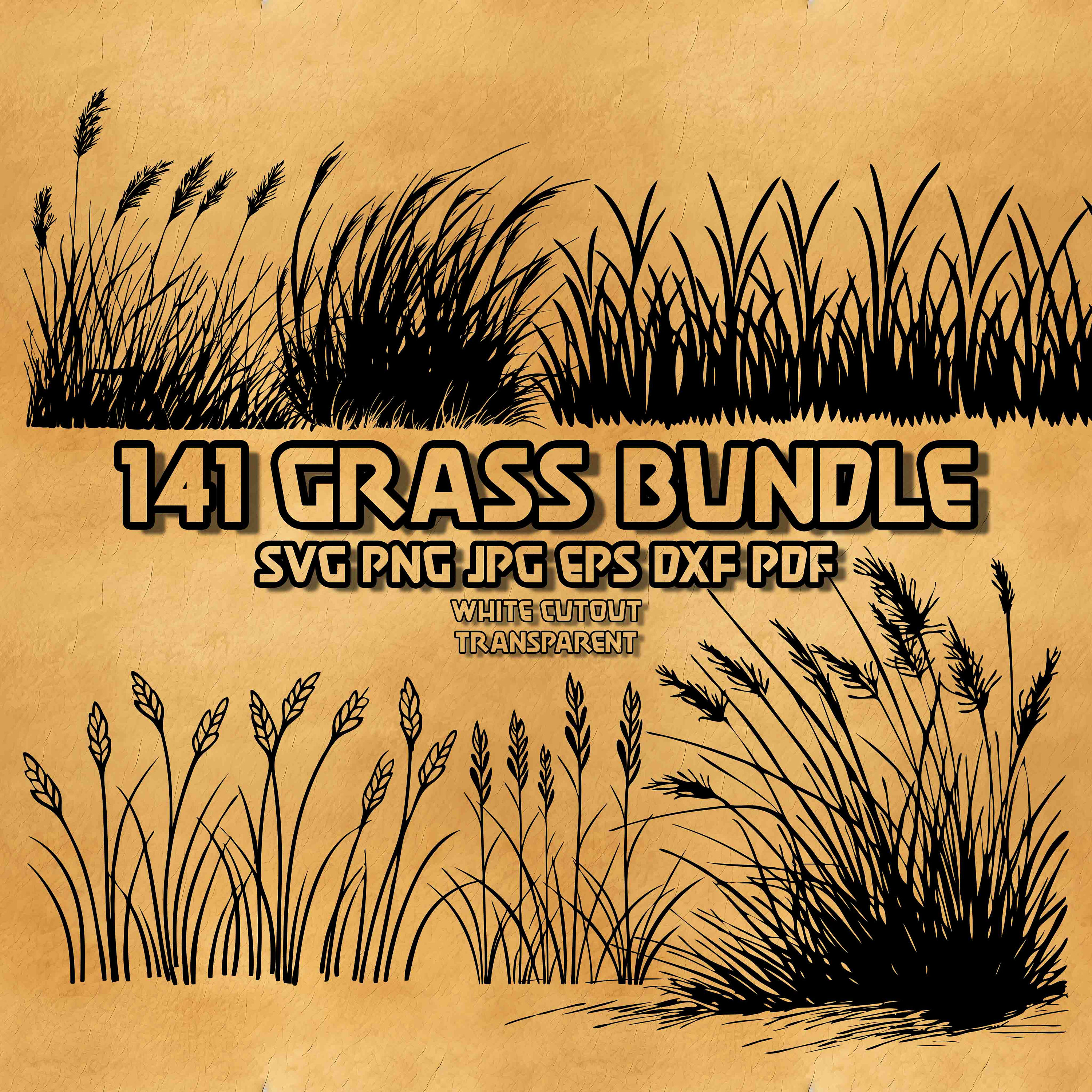 Grass Svg Bundle Pampass Grass Svg Grass Silhouette Botanical Grass