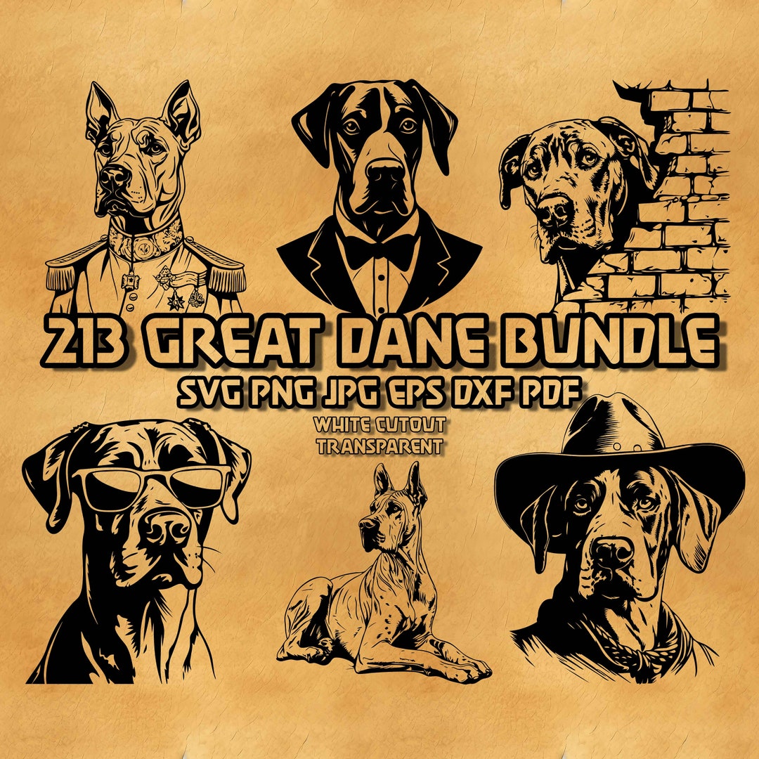 Great Dane Svg Bundle, Floral Great Dane Svg, Royal Great Dane Svg ...
