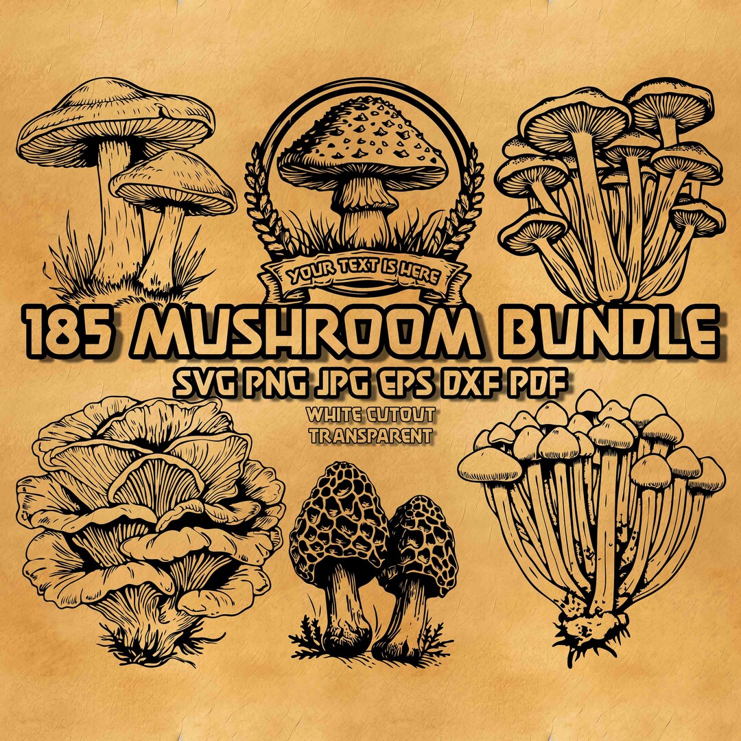 Mushroom Svg Bundle, Monogram Mushroom Svg, Mushroom With Text Banner ...