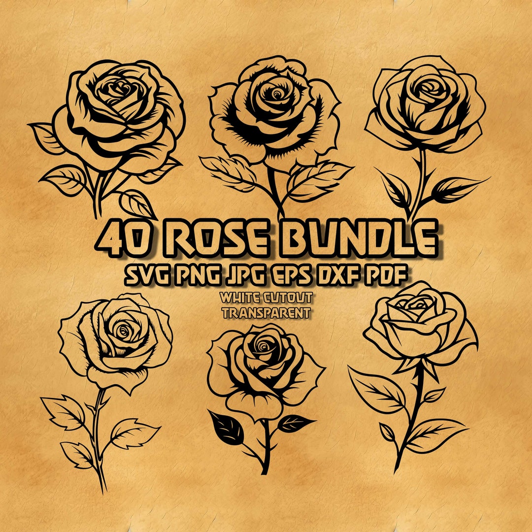 Rose Svg Bundle, Rose Png Design, Rose Svg for Cricut, Rose Vector ...
