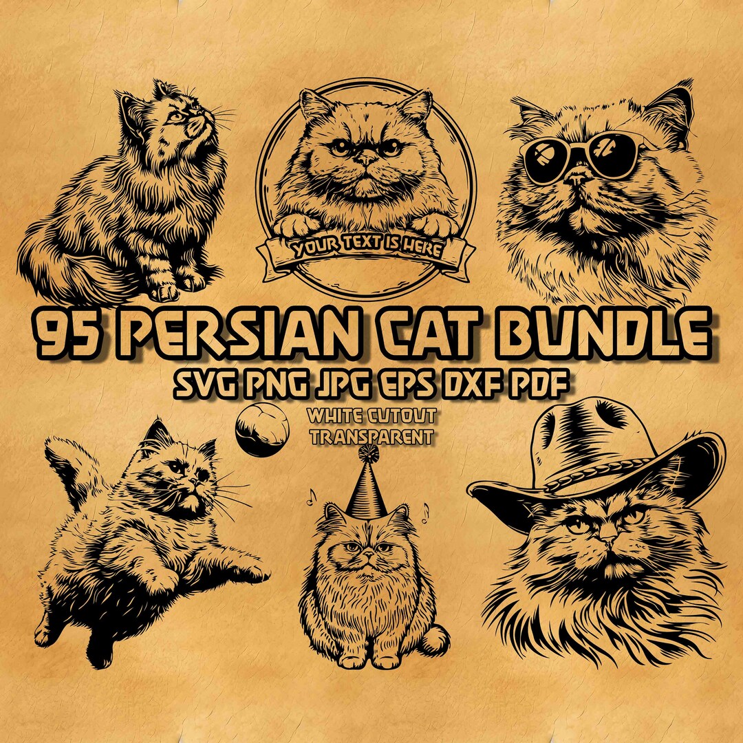 Persian Cat Svg Bundle, Persian Cat Monogram, Floral Persian Cat Svg ...