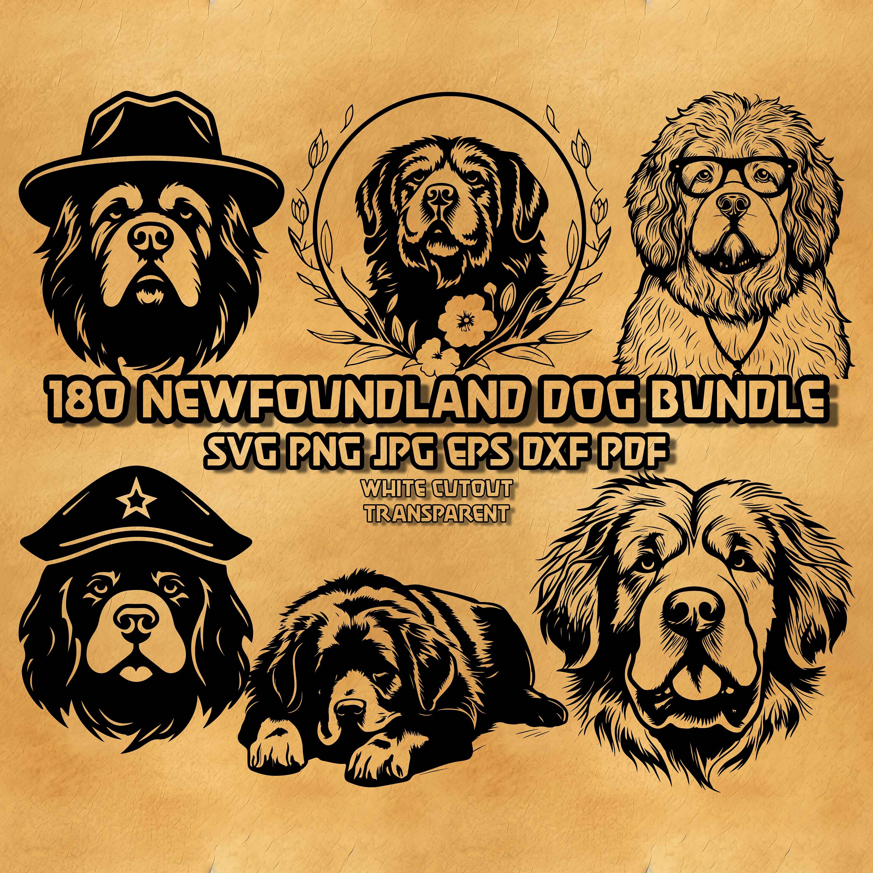 Newfoundland Svg Bundle, Newfoundland Dog Head Svg, Floral Newfoundland ...