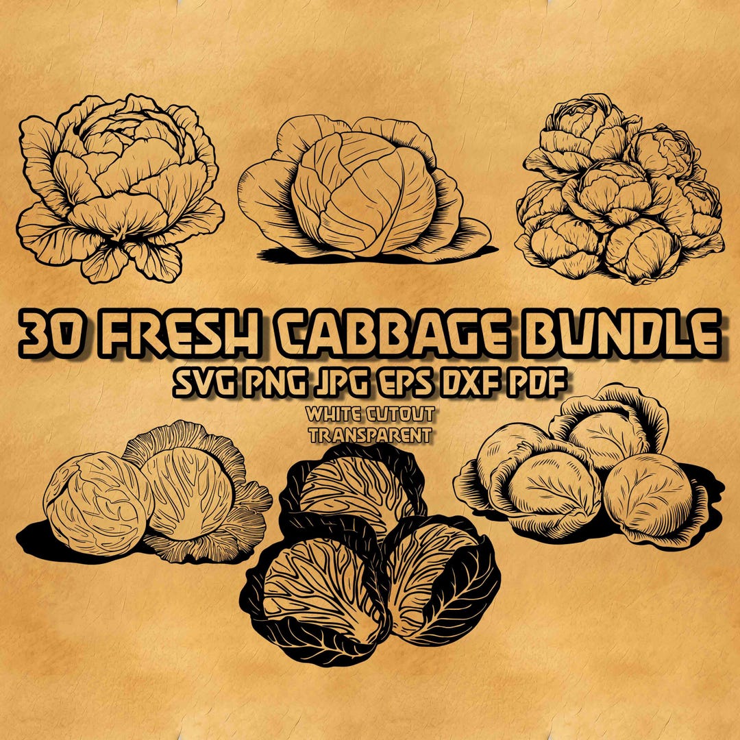 Organic Fresh Cabbage SVG Bundle, Garden-to-table Art, Crisp Veggie ...