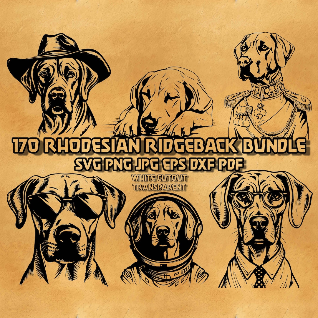 Rhodesian Ridgeback Svg Bundle, Floral Rhodesian Ridgeback Svg, Royal ...