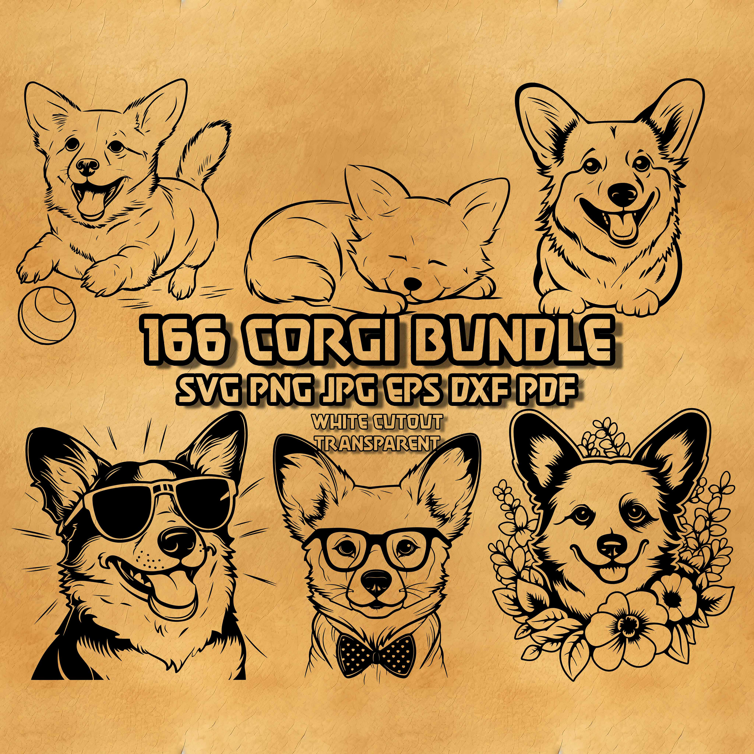 Corgi Svg Bundle, Floral Corgi Svg, Peeking Corgi Svg, Cowboy Corgi Svg ...