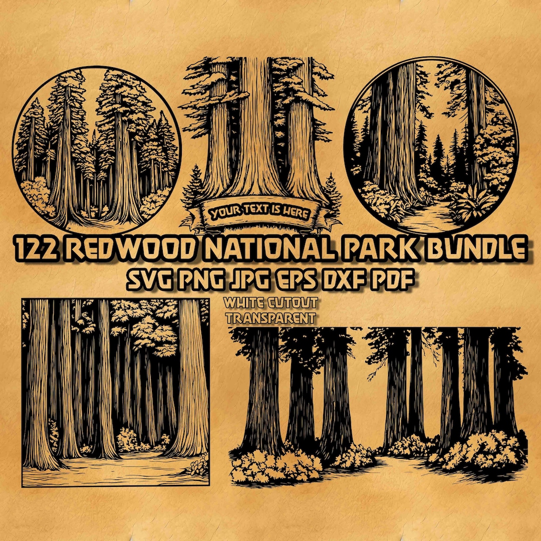 Redwood National Park Svg Bundle, Monogram Redwood Tree Svg , Giant ...