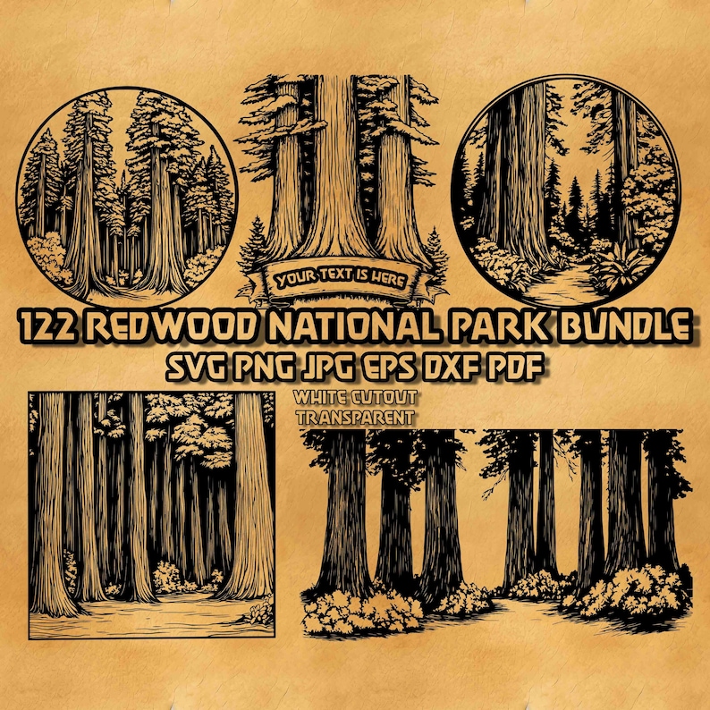 Redwood National Park Svg Bundle, Monogram Redwood Tree Svg , Giant ...
