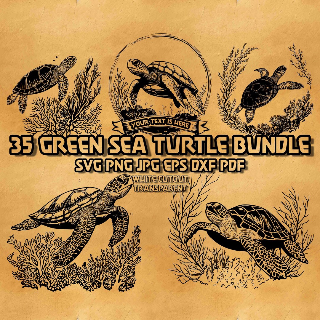 Green Sea Turtle SVG Bundle: Tropical Animal Design (digital Product ...