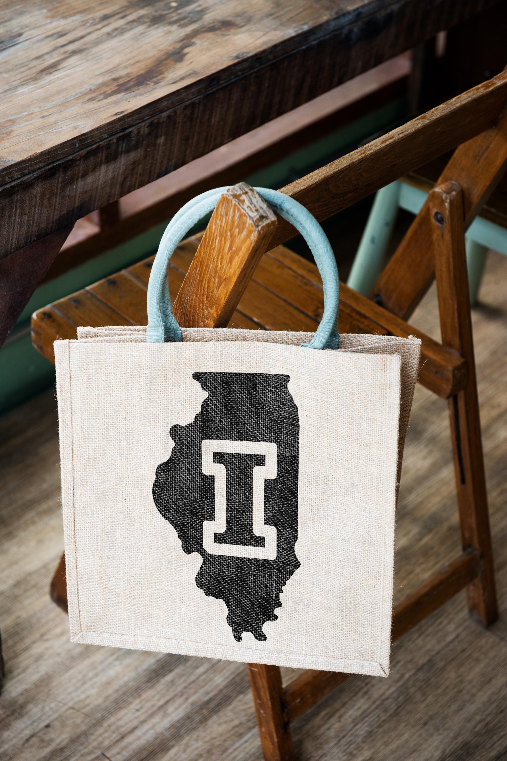Illinois State Outline SVG Bundle: Chicago Skyline, Route 66 (digital ...