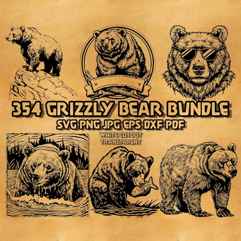 Grizzly Bear Svg Bundle, Bear With Sunglasses Svg, Bear Head Svg, Floral Bear Svg, Bear Paw Svg ...