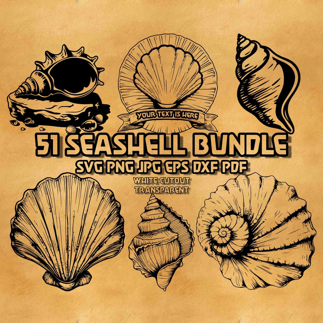 Ocean Seashell SVG Bundle, Nautical Png, Seashell Monogram Vacation Png ...