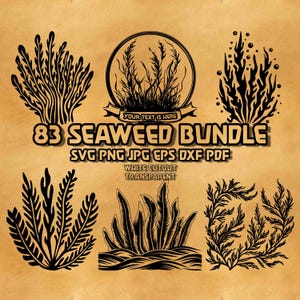 83 Seaweed SVG Bundle: Ocean Plant Clipart, Nautical Designs Png Black and White - Etsy