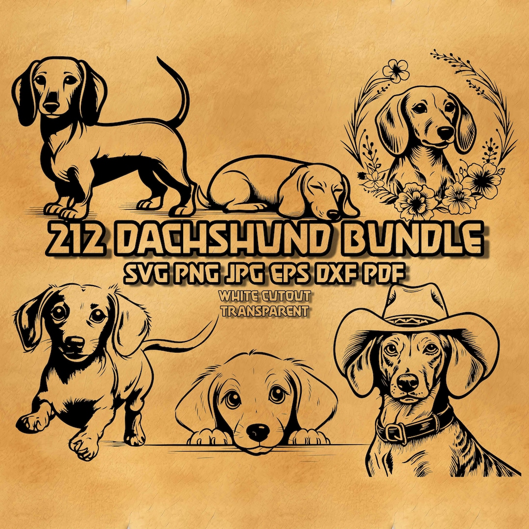 Dachshund Svg Bundle, Peeking Dachshund Svg, Cowboy Dachshund Svg ...