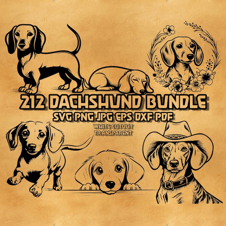 Dachshund Svg Bundle, Peeking Dachshund Svg, Cowboy Dachshund Svg ...