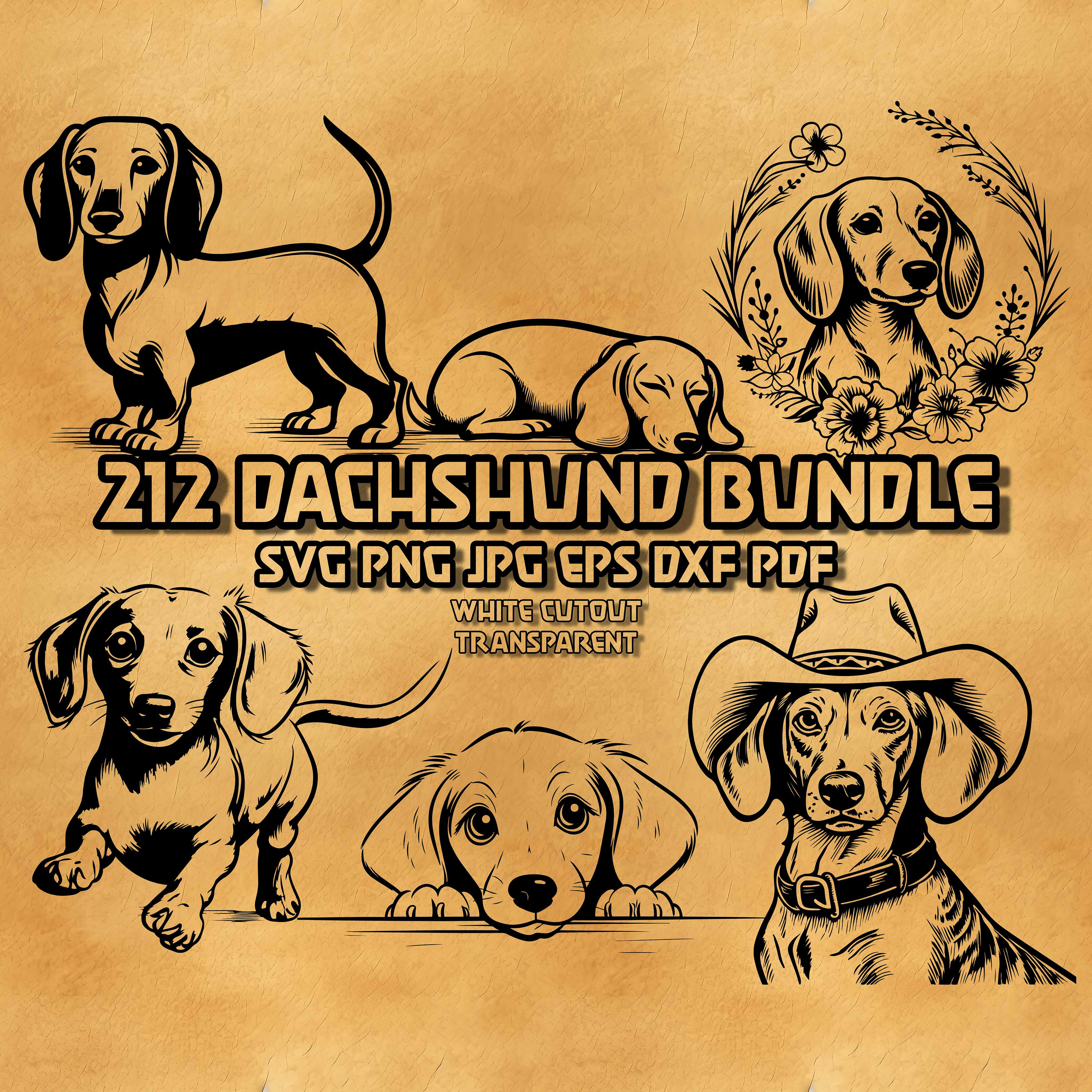 Dachshund Svg Bundle, Peeking Dachshund Svg, Cowboy Dachshund Svg ...