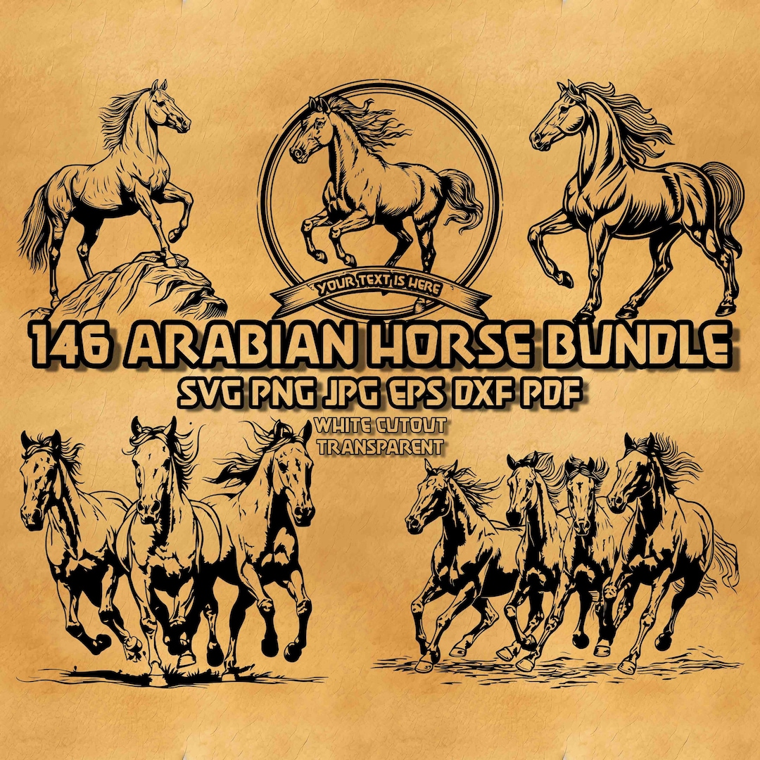 Arabian Horse Svg Bundle, Arabian Horse Monogram Svg, Arabian Horses ...