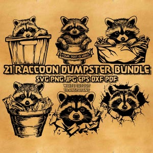 Dumpster Raccoon Trash Svg Bundle, Raccoon Trash Panda Svg, Scavenger ...