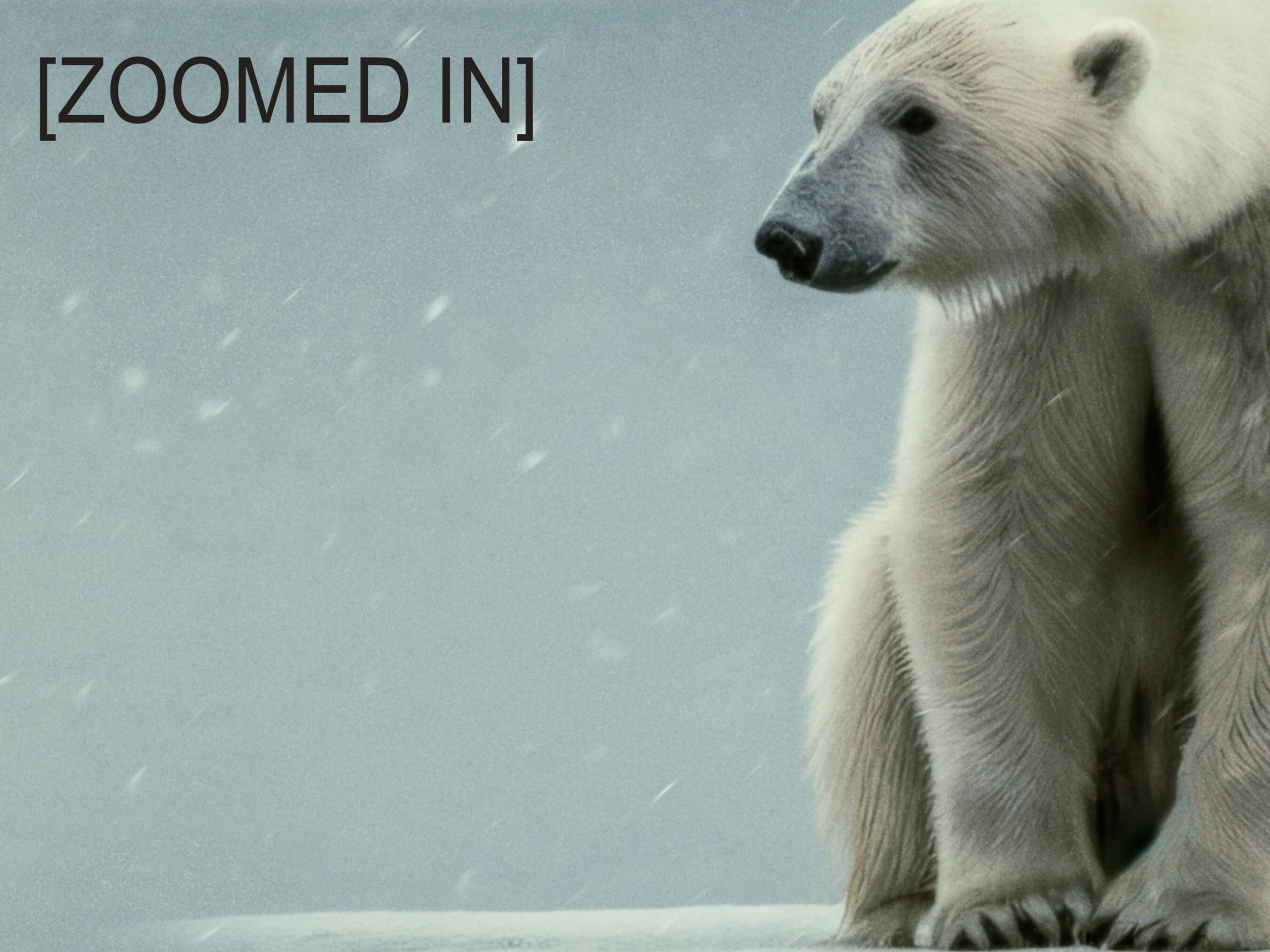 Emotional Polar Bear on Melting Ice - Digital Art Print for Climate ...