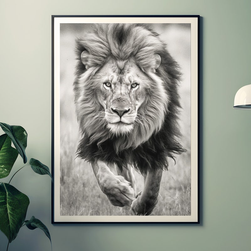Black and White Lion Art - Etsy