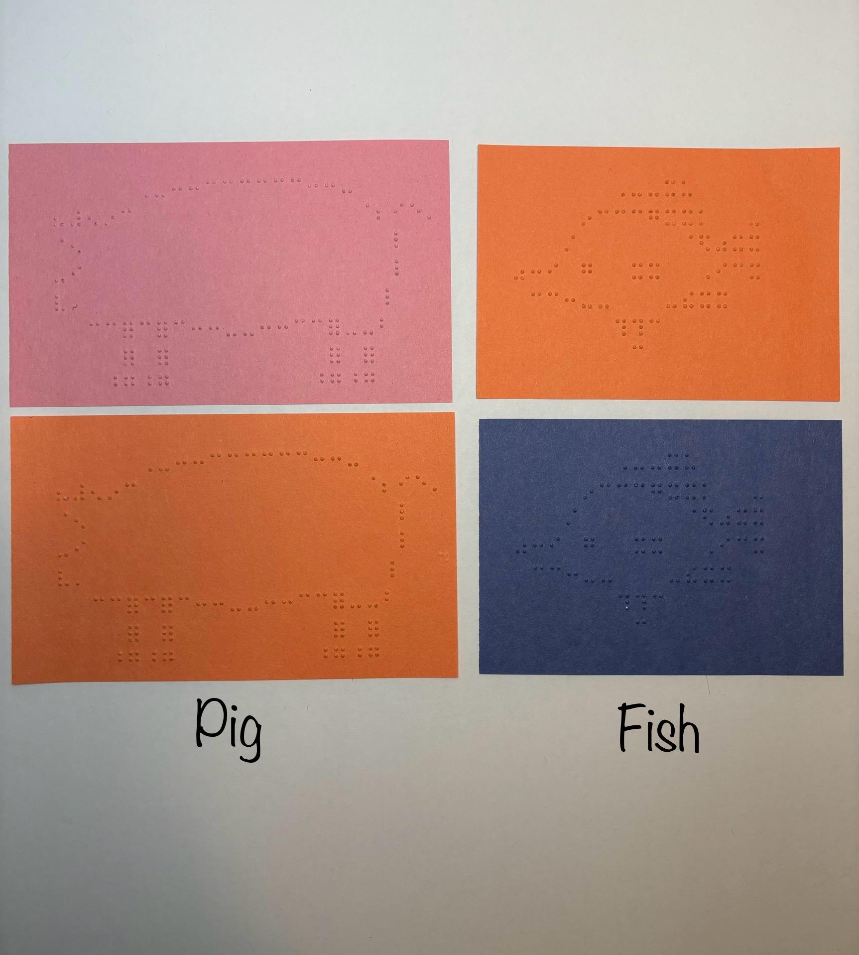 Tactile Braille Card With Tactile Pictures | CUSTOMIZE - Etsy