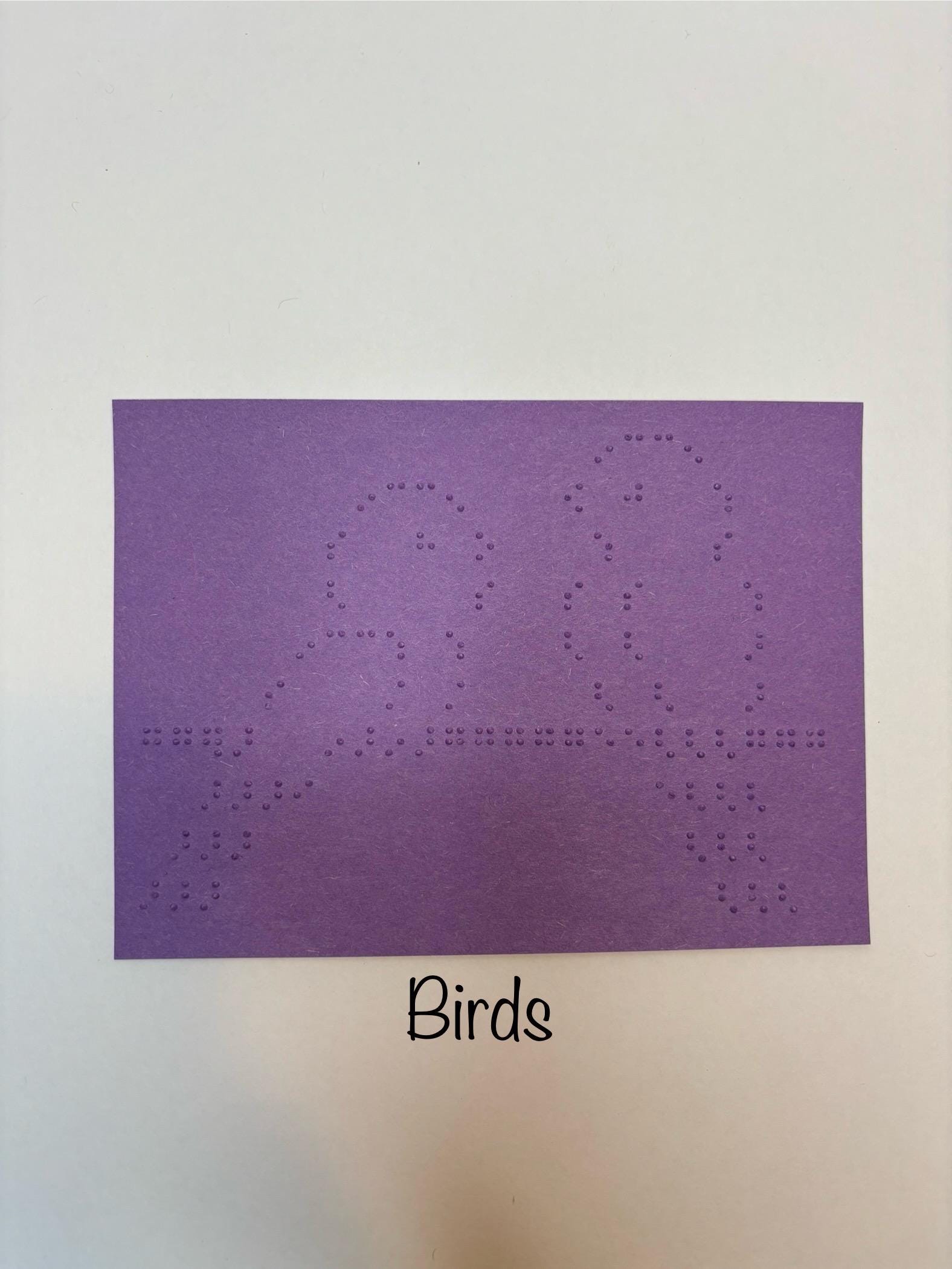 Tactile Braille Card With Tactile Pictures | CUSTOMIZE - Etsy