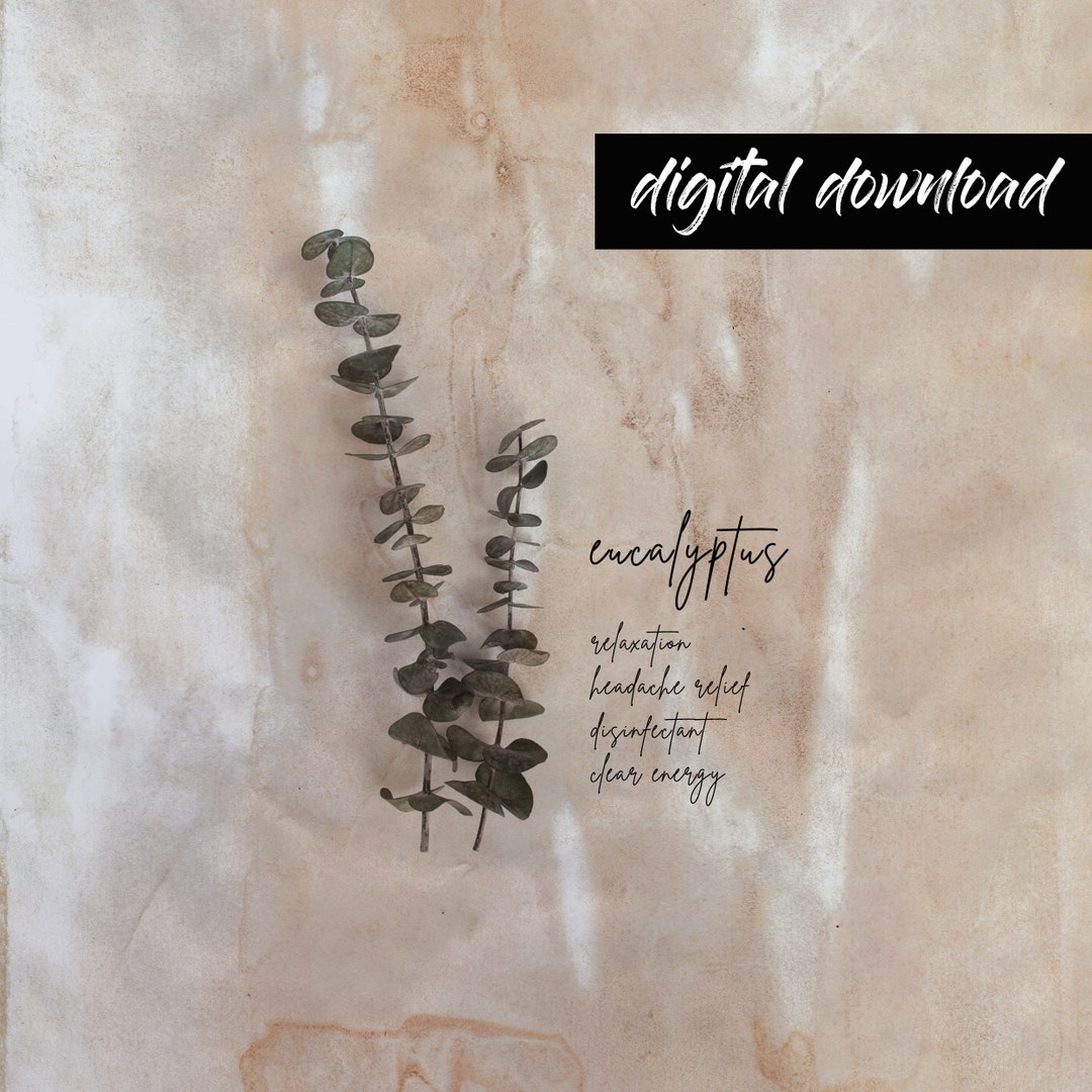 Eucalyptus Tea Stain Print, Instant Digital Download, Aromatherapy Uses ...