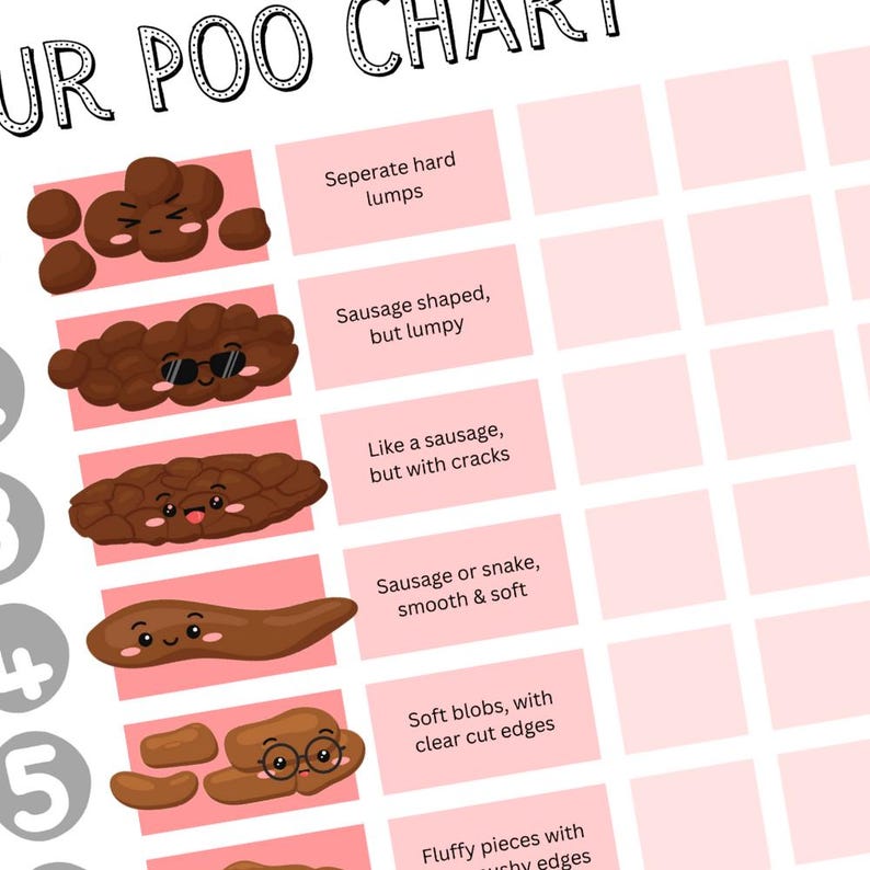 Toilet Training Chart for Toddlers | Which Poo Are You? Bristol Stool ...