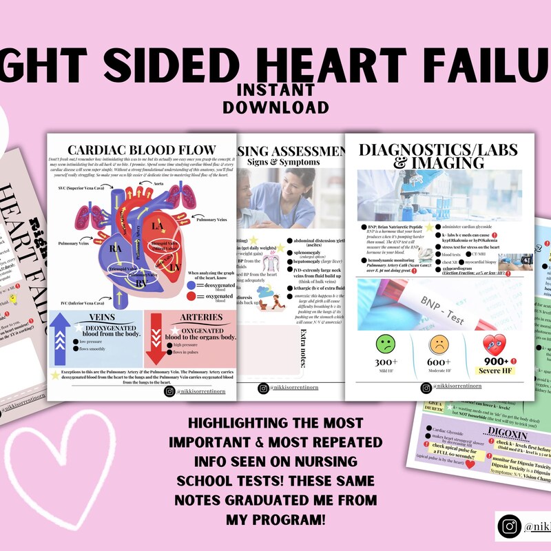 Nursing Study Guides - Etsy
