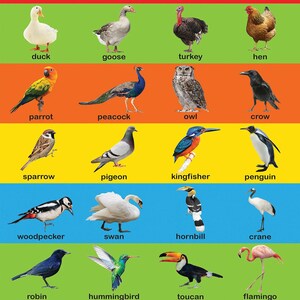 Kids Educational Posters Bundle For, Kids Activity Learning Posters ...