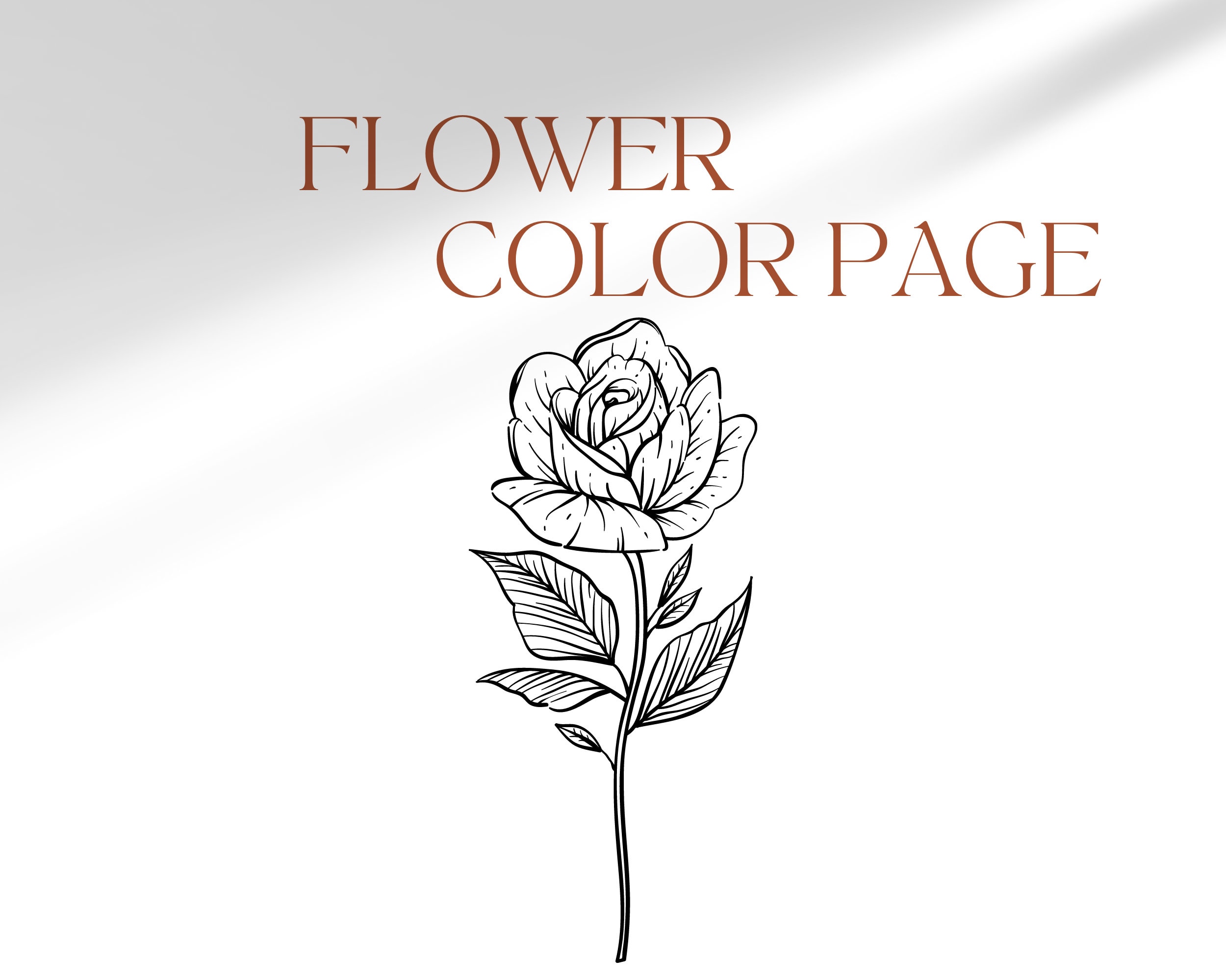 Flower Color Page| PDF Printable Color Page| Enjoyment, Peace, Calming ...
