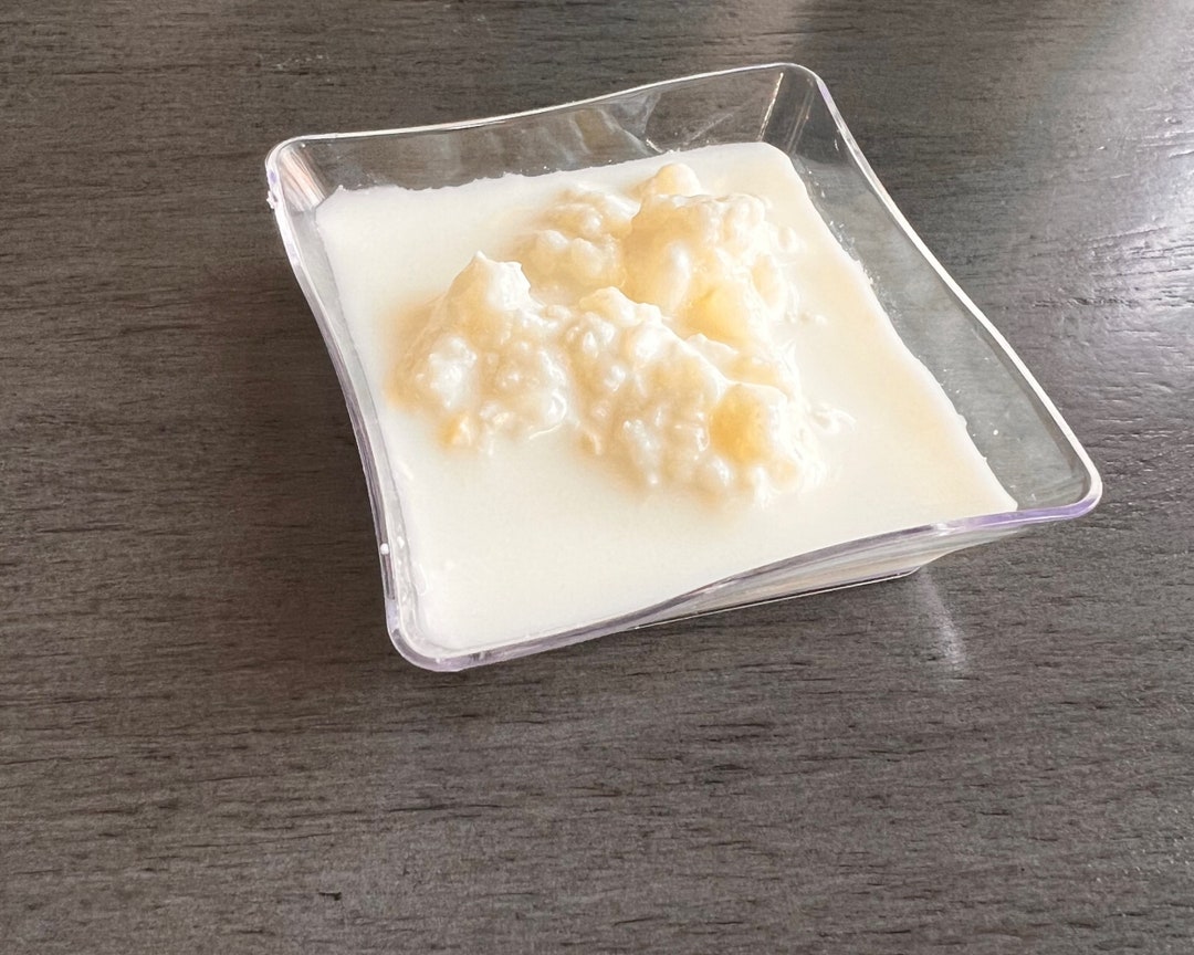 LIVE Kefir Grains| Active Milk Kefir| Organic - Etsy