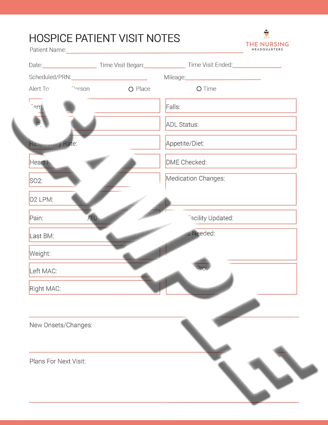 Efficient and Comprehensive Hospice Nursing Visit Sheet for Patient ...