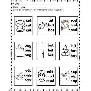 Phonics Review Package - CVC Short Vowel Words Review- NO PREP Needed ...