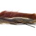 Dark and Light Brown Deer Hair Streamer Flies Size 2 With Beadeyes 3 ...