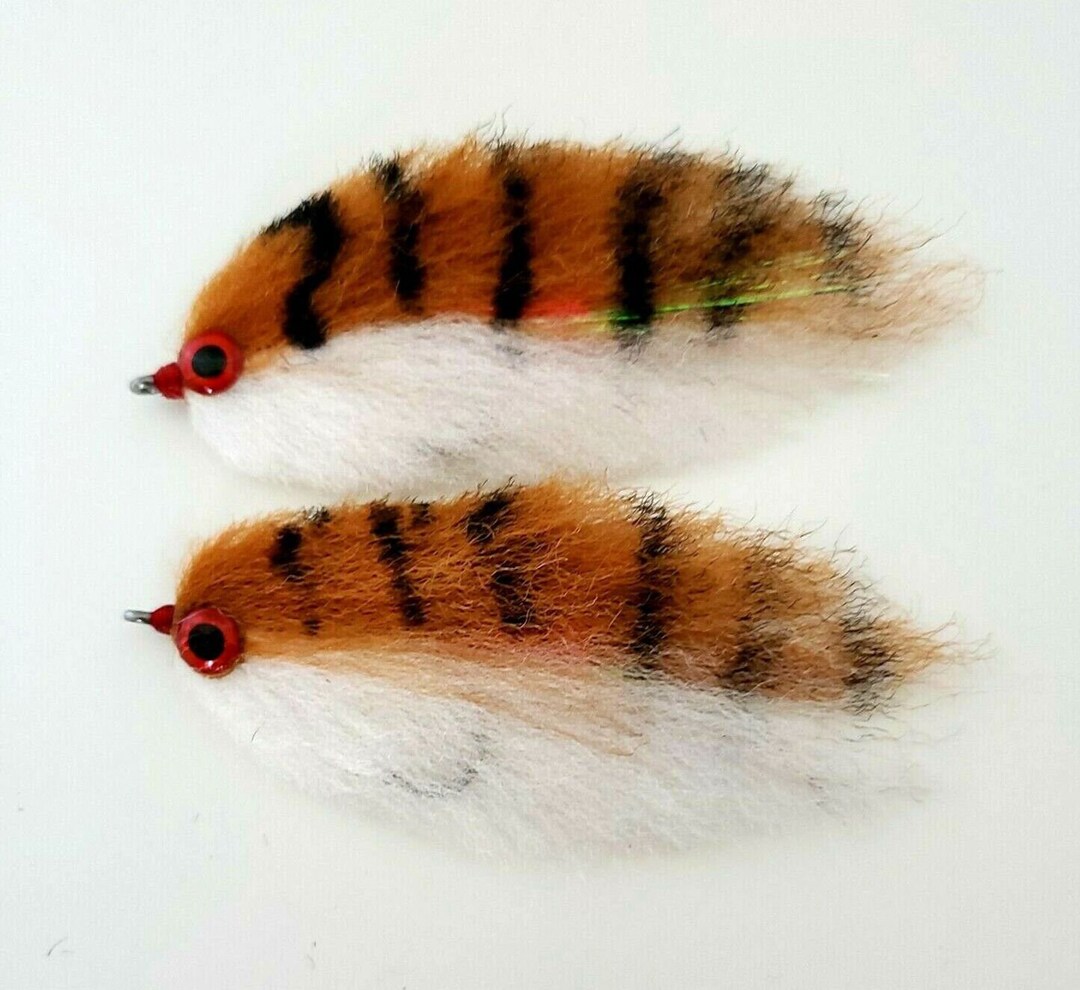 Weedless Big Eye Baitfish Flies Pike Bass Walleyes Trout Striper - Etsy