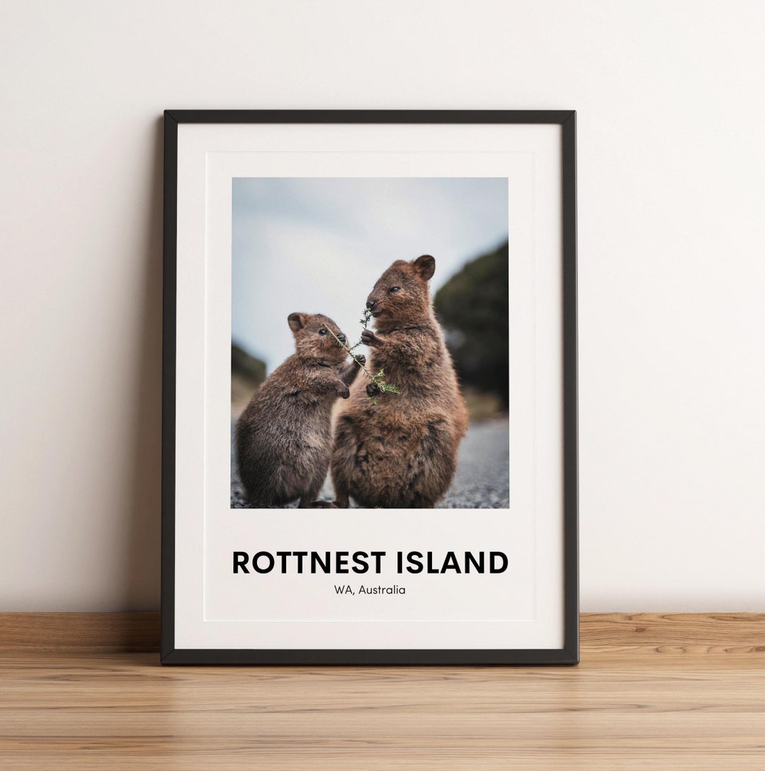 Rottnest Island Art Print, Rottnest Island Travel Poster, Rottnest ...