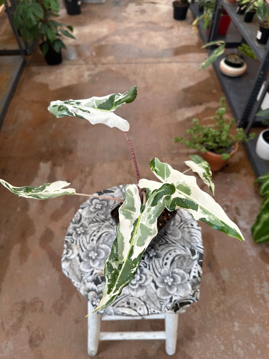 This item is unavailable - Etsy