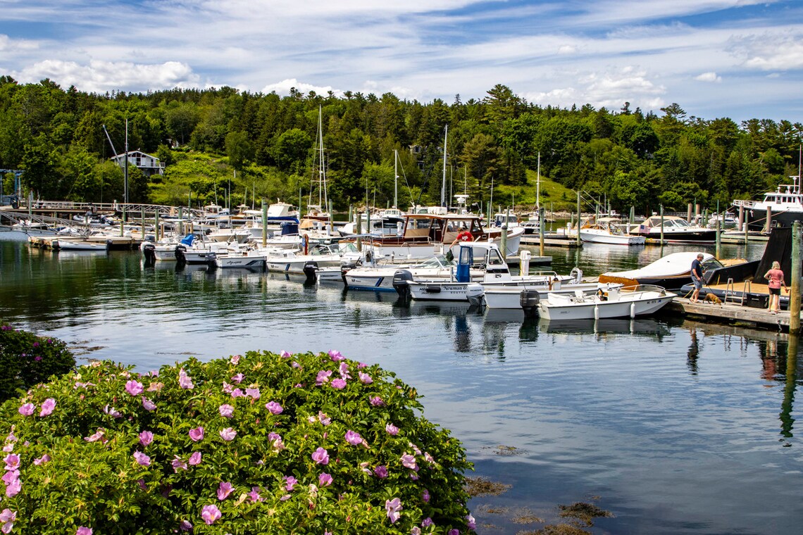 Harbor View of Northeast Harbor Maine - Etsy