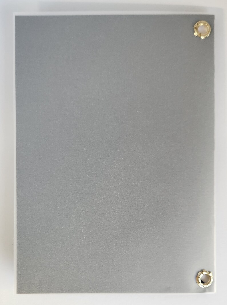 A Florida University Graduation Card With Envelope - Garnet and Gold ...