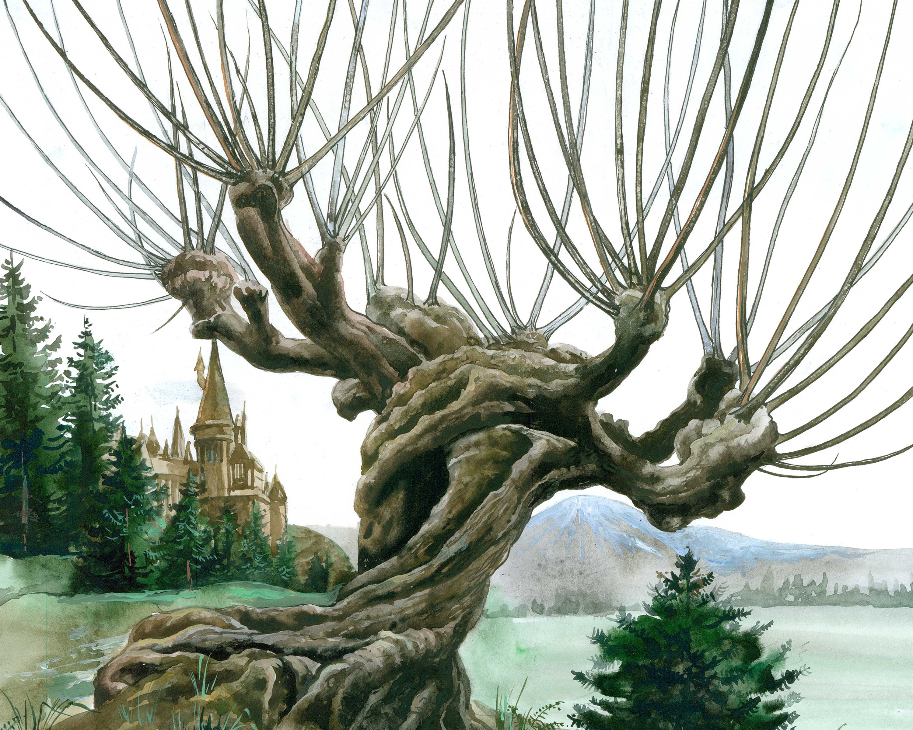 Wedding Guest Book Alternative Tree Whomping Willow Unique Wedding ...